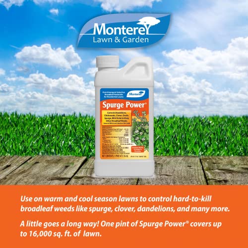 Monterey LG 5600 Spurge Power Herbicide, One Pint | Gardentia