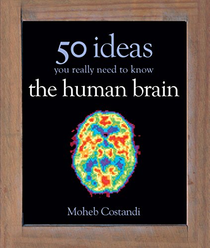 50 Human Brain Ideas You Really Need to Know (50 Ideas You Really Need ...