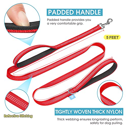 Snapklik.com : BAAPET Two Handle Dog Leash, Dual Soft Padded Handles