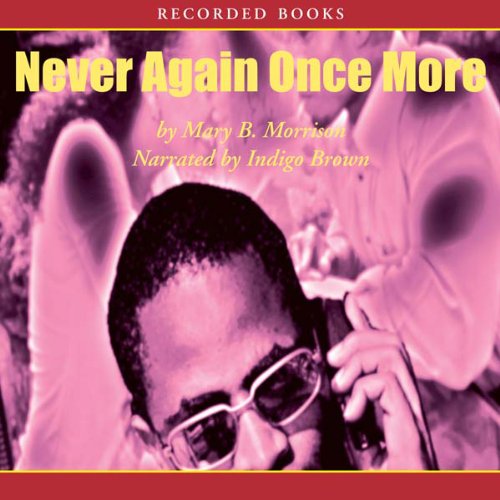 Amazon.com: Never Again Once More (Audible Audio Edition): Mary B ...
