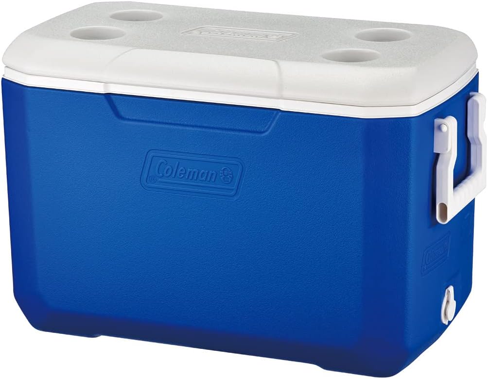 Buy COLEMAN 5 QT Ice Box (4.7 Liter) with Storage Capacity - 6 Cans and ...