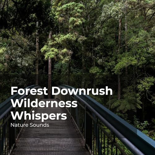 Amazon Music Unlimited - 自然音, Sleep Sounds of Nature & Nature Sounds ...