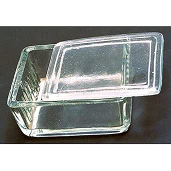 ARGLabs Staining Trough : Amazon.in: Industrial & Scientific