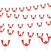 33 ft 38 Pieces Canada Flag Leaf Pennant Banner, Triangle Canadian ...