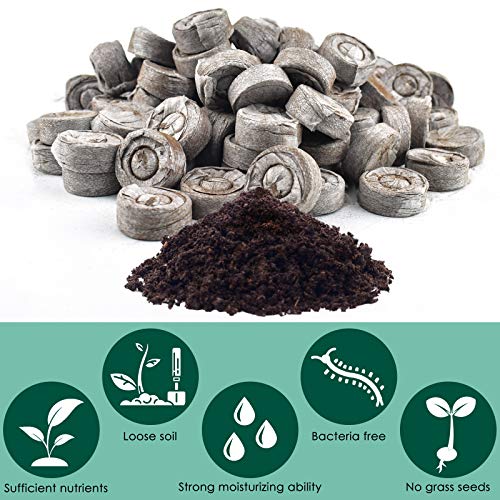 PACETAP 100 Pcs 30mm Peat Pellet Seed Starter Soil, Compressed Seed ...