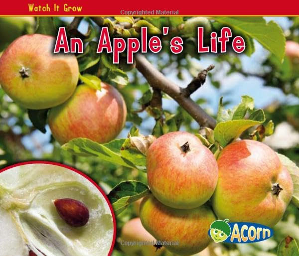 Amazon.com: An Apple's Life (Watch It Grow): 9781432941505: Dickmann ...