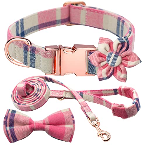 Unleash Your Dog's Potential with These Top 10 Leash Collars: A ...