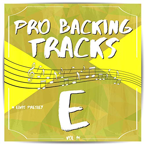 Amazon.com: Pro Backing Tracks E, Vol.14 : Pop Music Workshop: Digital ...