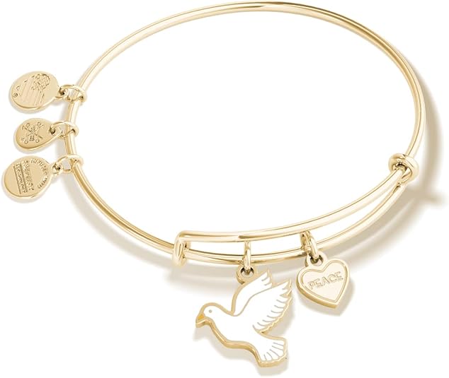 Amazon.com: Alex and Ani Symbols and Tokens Expandable Bangle for Women, Dove Charm, Shiny Gold ...