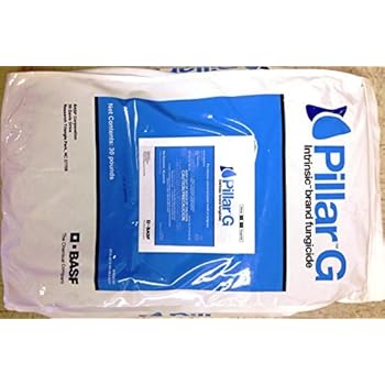 Amazon.com : Pillar G Intrinsic Granular Fungicide (30 LB) : Garden ...