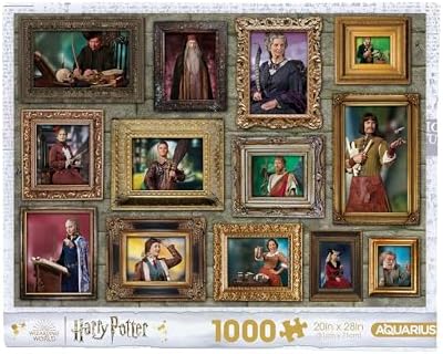 Amazon.com: AQUARIUS Harry Potter Witches & Wizards 1000pc Puzzle (1000 ...