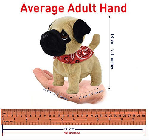 Pocket Puggle Full Grown