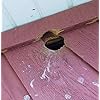 Amazon.com: Bird Banisher Woodpecker Deterrent & Bird Scare Device ...