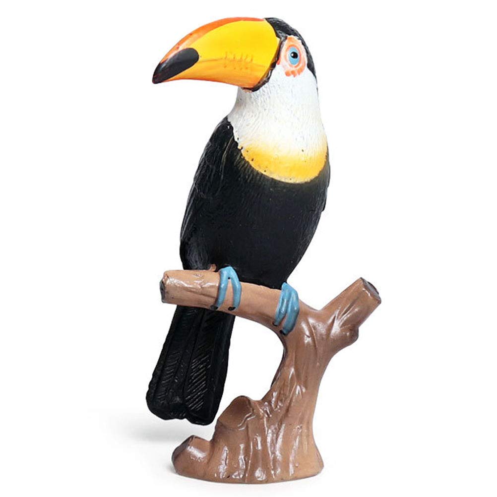 10 Best Toucan Bird Toys to Keep Your Feathered Friend Entertained ...
