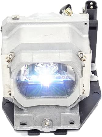 Amazon.com: JISIZKY LMP-E191 Replacement Module Lamp Bulb with Housing ...