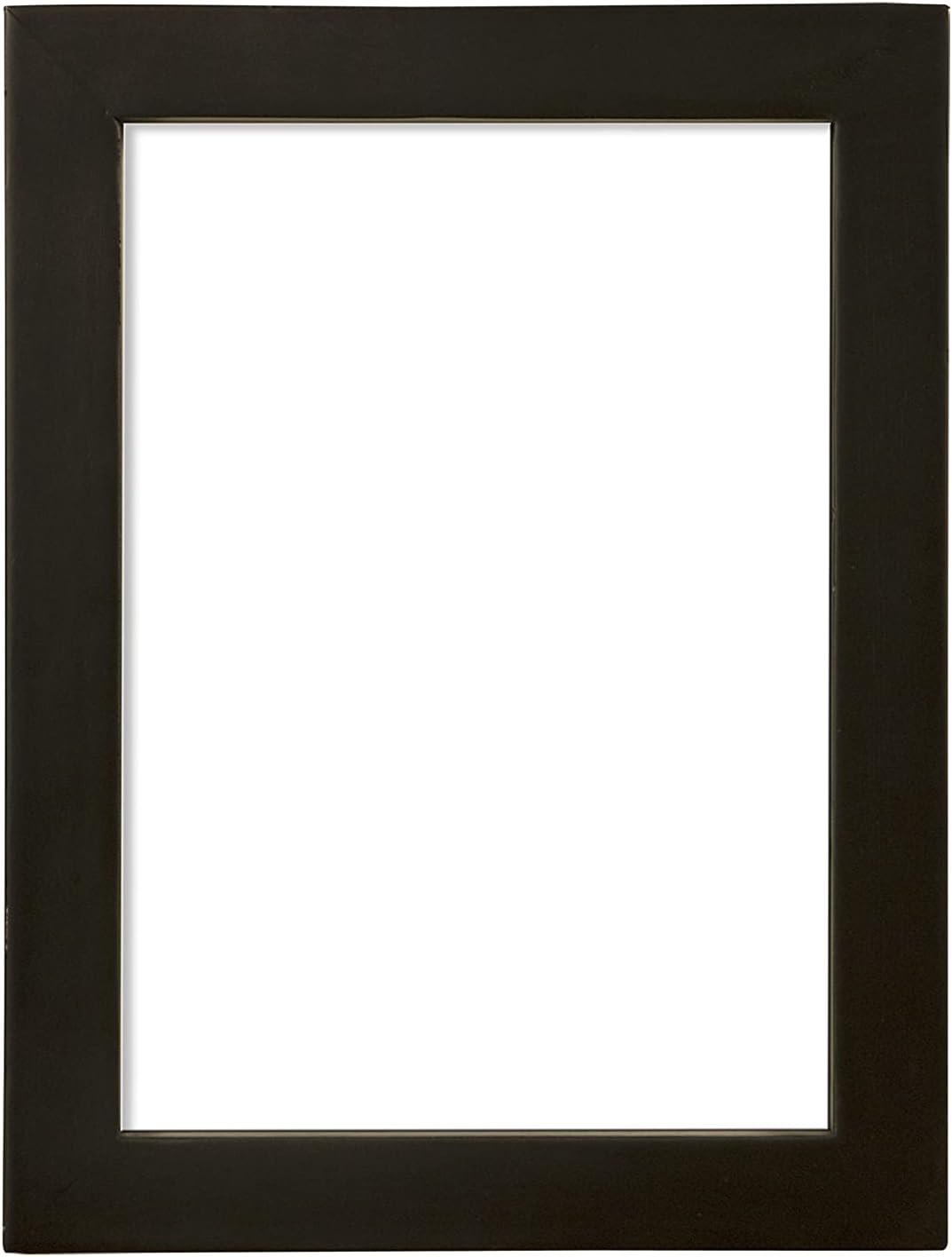 Amazon.com: MCS Canvas Float Frames 12x16 Frame, Black Frame for ...