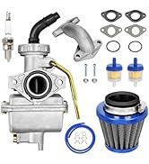Amazon.com: FVRITO PZ20 Carburetor Kit for Tao tao Coolster 125cc 110cc ...
