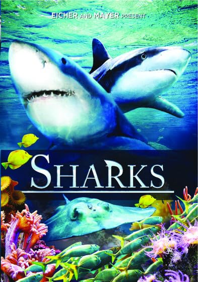 Amazon.com: Sharks : Timo Joh. Mayer, John De Bono, Ralph Dietrich ...