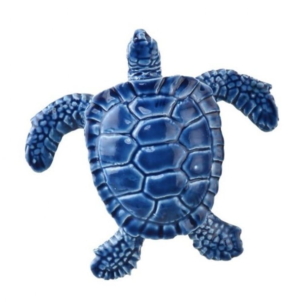 Amazon.com: The Bridge Collection Decorative Blue Resin Sea Turtle ...