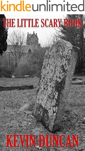 Amazon.com: The Librarian of the Haunted Library: A Supernatural Suspense Horror Comedy ...