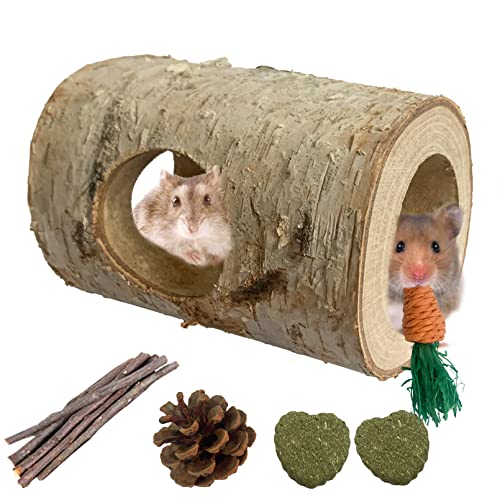 Find The Best Wood For Hamster Cage Reviews & Comparison - Katynel