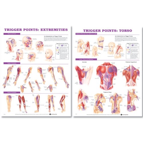 Trigger Point Chart Set | Amazon.com.br