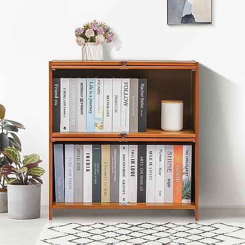 Amazon.com: Athena Collection Book Shelf Bookcase with Door 2-Tier ...