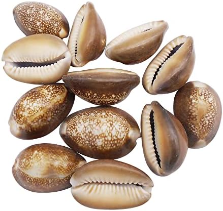 100pcs Natural Spiral Sea Beach Cowrie Shell Beads for DIY Craft ...