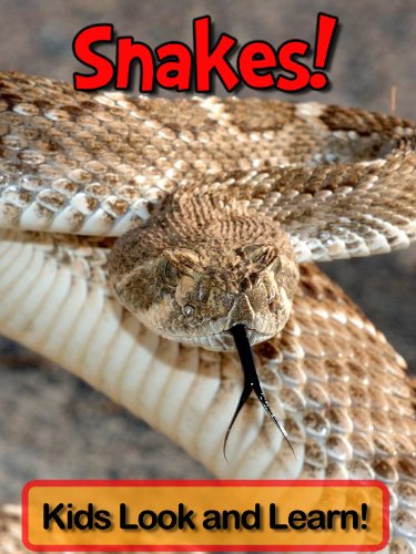 Snakes! Learn About Snakes and Enjoy Colorful Pictures - Look and Learn ...