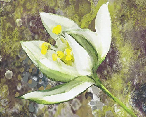 Anjani Art Gallery White Flower On Canvas Unframed Printed Canvas ...