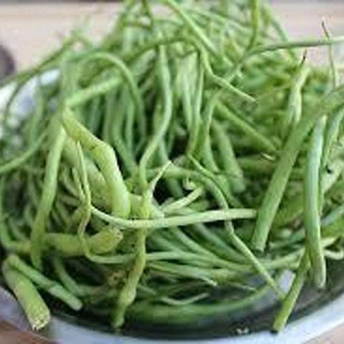 NurseryNature Sogari Hybrid Seeds : Amazon.in: Garden & Outdoors