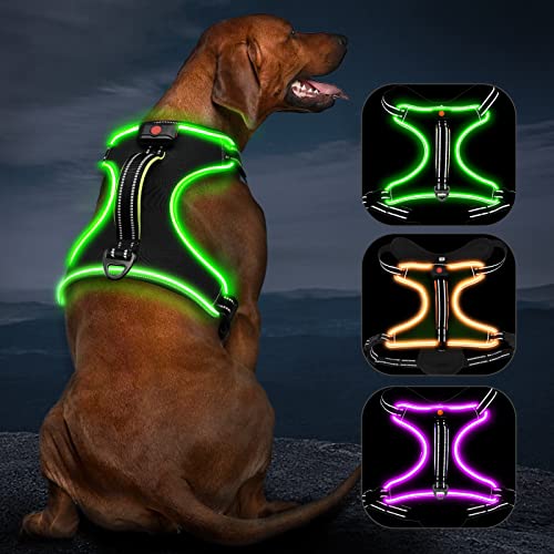 The 10 Best Led Light-Up Dog Harnesses