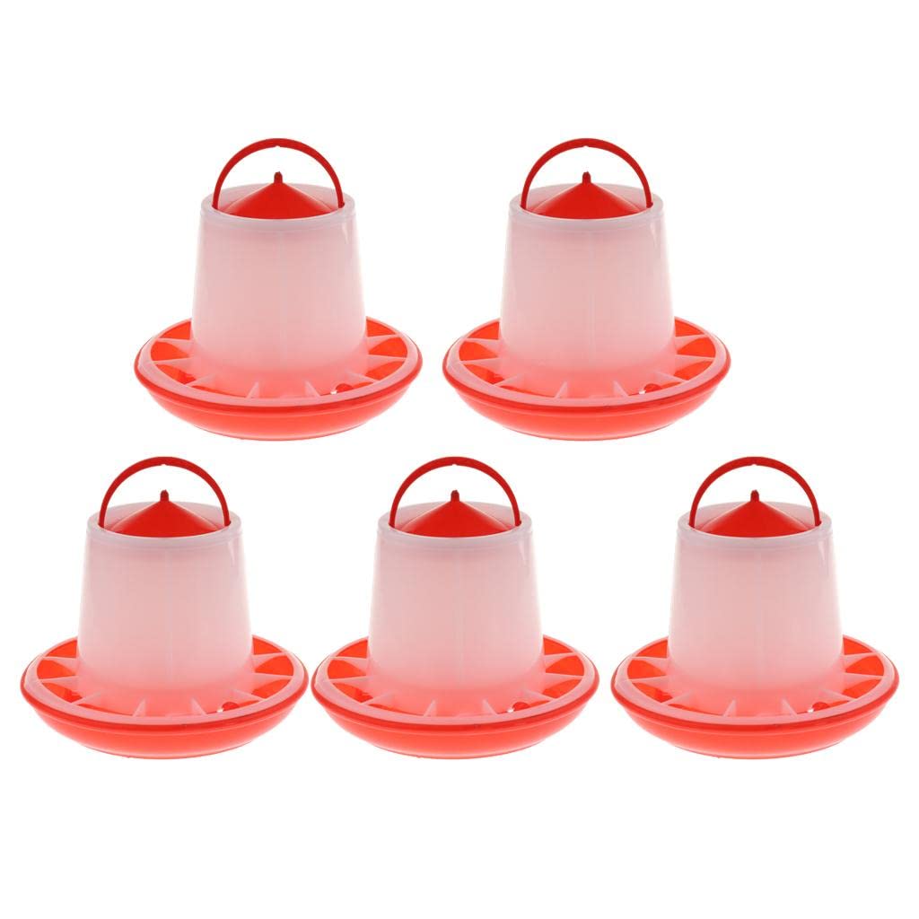 Buy Meri Shopp 5X 2kg Automatic PP Food Fodder Feeder Chicken Chick Hen ...