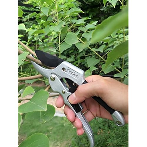Snapklik.com : Gonicc 8 Professional SK-5 Steel Blade Sharp Anvil ...