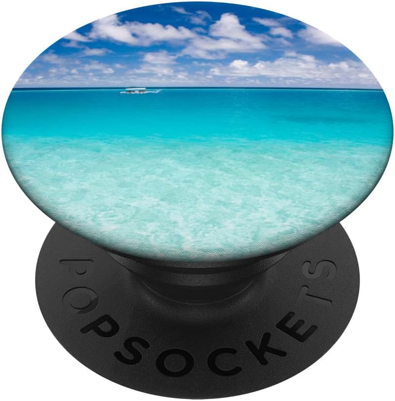 Amazon.com: The Great Wave off Kanagawa Japanese Art Pop Mount Socket ...