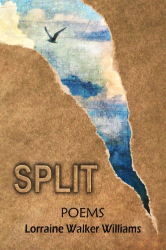 Split Poems : Amazon.in: Books