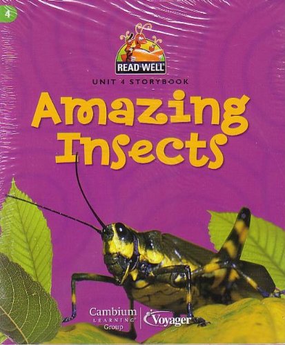 AMAZING INSECTS (READ WELL UNIT 4 STORYBOOK) GRADE K (6 PACK SAME TITLE ...
