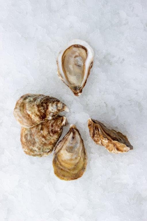 Amazon.com: Savage Harbor Prince Edward Island Wild Oysters, In Shell ...