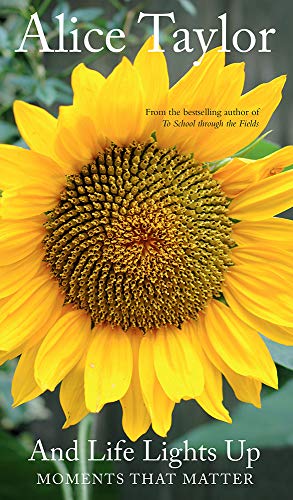 Amazon.com: And Life Lights Up: Moments that Matter eBook : Taylor ...