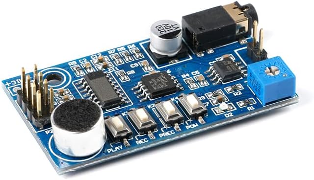 Amazon.com: JESSINIE YS-SR1 DC 5V Sound Voice Recording Playback Module ...