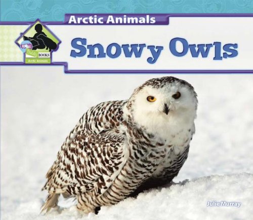 Snowy Owls (Arctic Animals): Murray, Julie: 9781617838019: Amazon.com ...