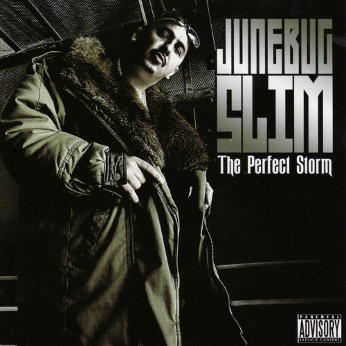 Amazon.com: The Perfect Storm : Junebug Slim: Digital Music