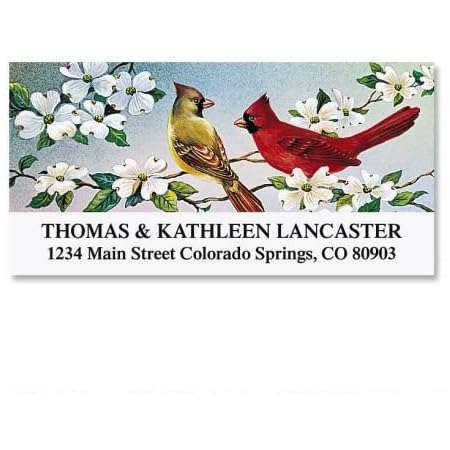 Amazon.com : Cardinals Personalized Return Address Labels- Set of 144 ...