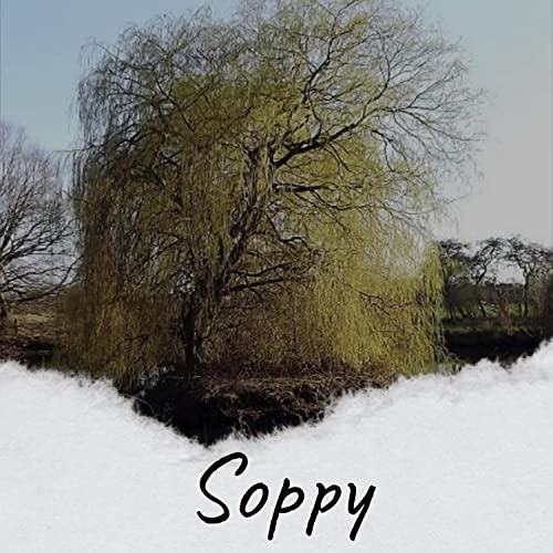 Play Soppy by VARIOUS ARTISTS on Amazon Music