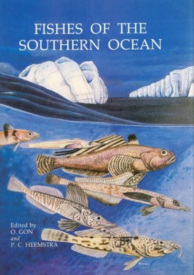 Fishes of the southern ocean: unknown author: 9780868102115: Amazon.com ...