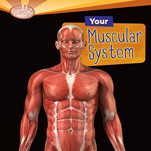 Amazon.com: Your Muscular System (Audible Audio Edition): Rebecca L ...
