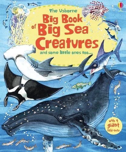 Big Book of Sea Creatures: Lacey, Minna: 9781409531722: Amazon.com: Books