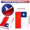 Amazon.com : Chile String Flag Pennant Banner, Small Mini Chilean Flags ...