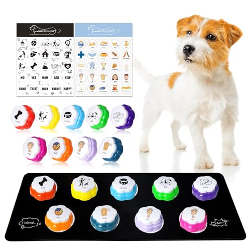 7 Best Talking Buttons for Cats 2026