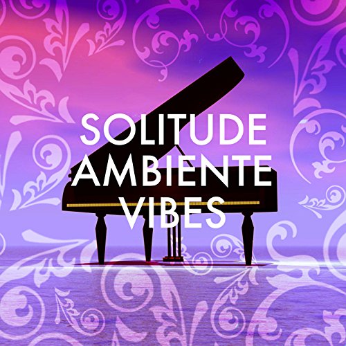 Amazon.com: Solitude Ambiente Vibes : Ambiente: Digital Music
